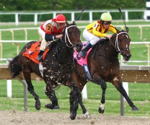 Dynamic Odds launches new price product in Victoria - iGB