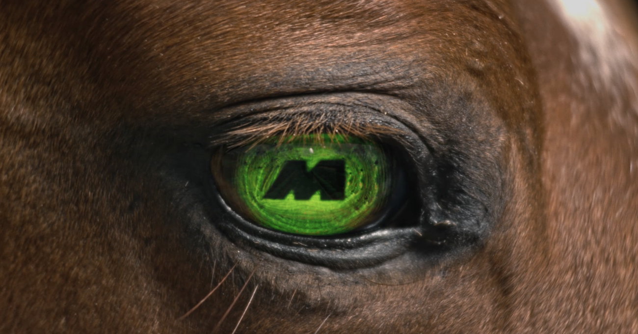 Midnite becomes official partner for Season XIII of All-Weather ...